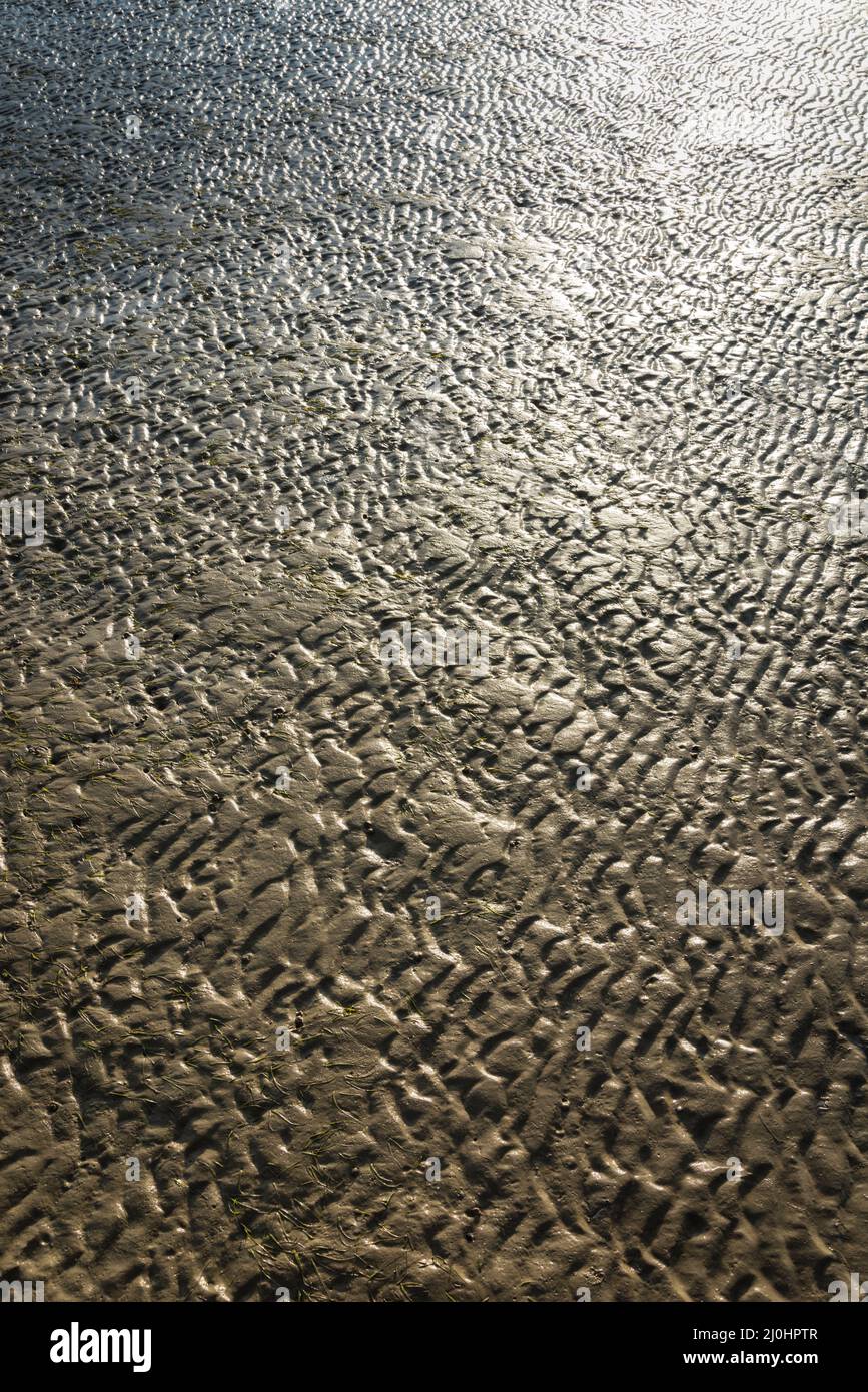 Sand ripples at low tide on island of rab Stock Photo - Alamy