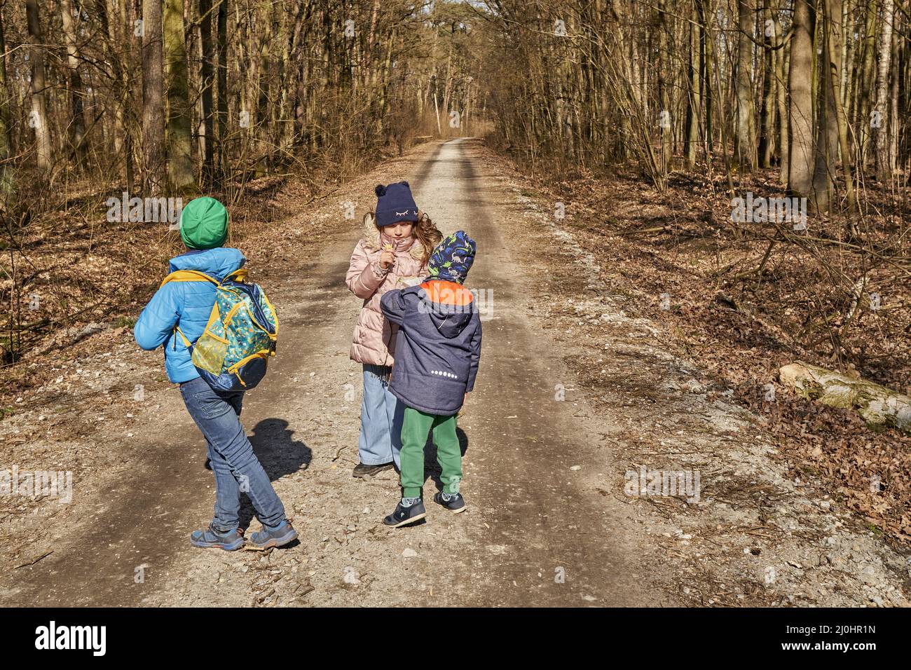Three kids standing on a footpath in a forest on clear sunny day Stock ...