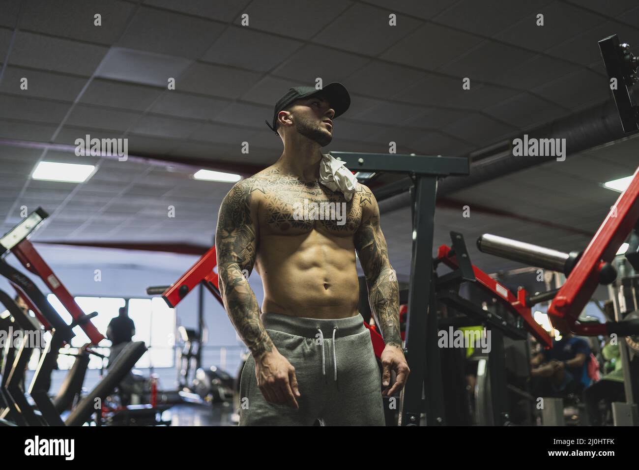 Handsome man doing a workout in the gym Stock Photo - Alamy
