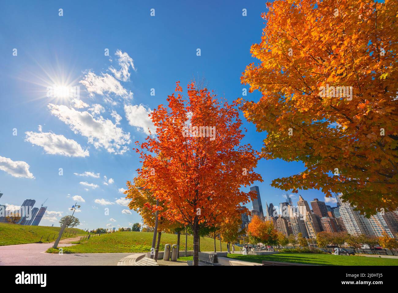 Autumn leaf color trees glow at City View Point in Southpoint Park ...