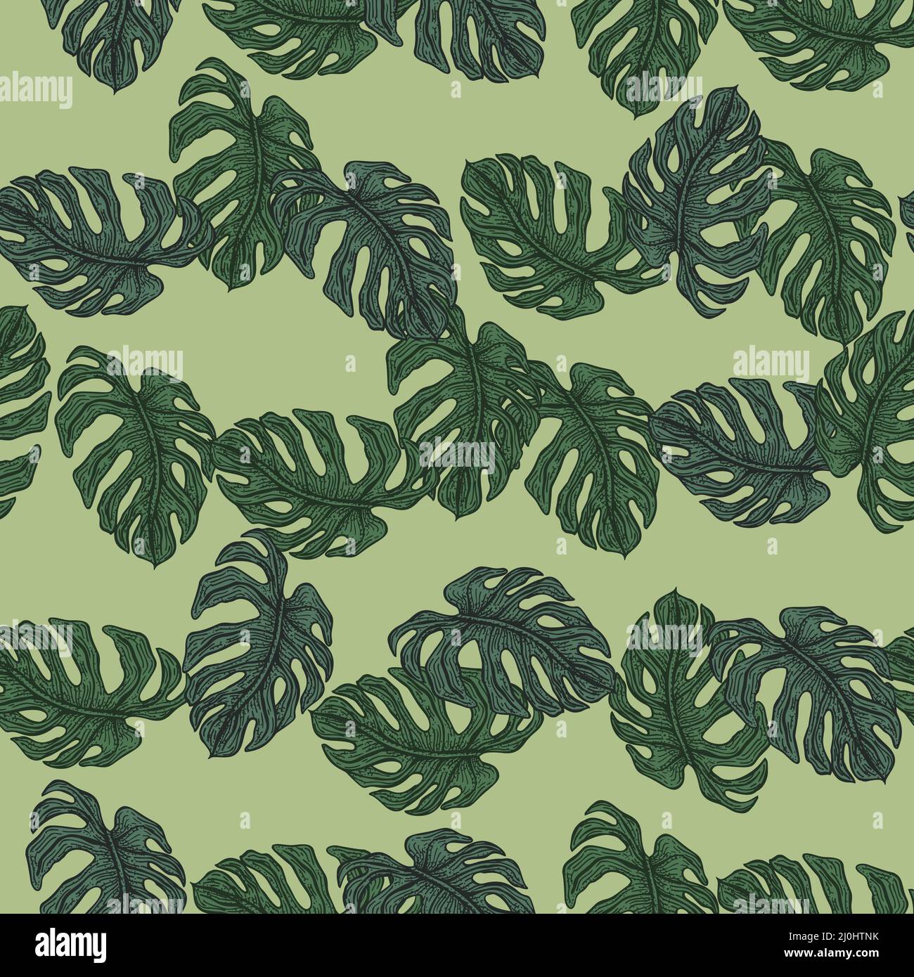 Monstera leaf seamless pattern.Vintage tropical branch in engraving ...