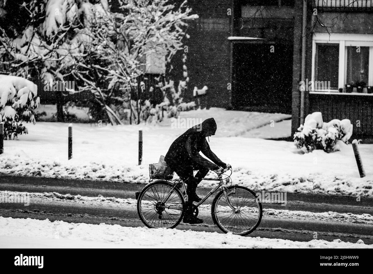 Black and white shot of a man riding a bike in a snowy winter Stock ...