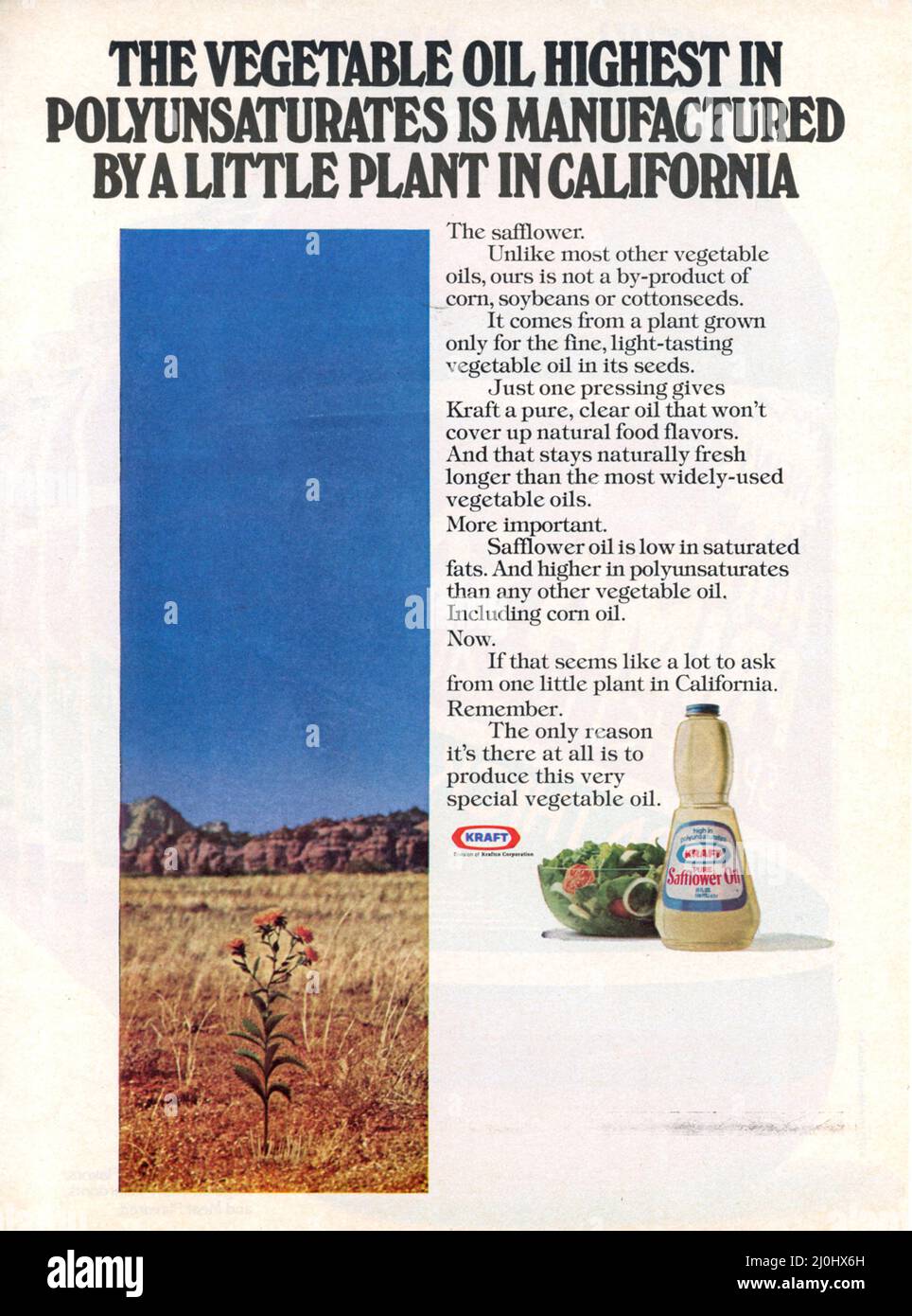 Vintage November 1976 "Ladies' Home Journal" Magazine Advert, USA Stock ...