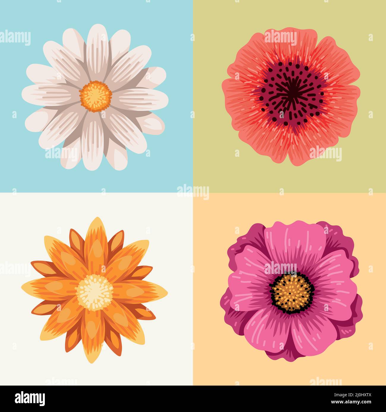 set cute flowers Stock Vector Image & Art - Alamy