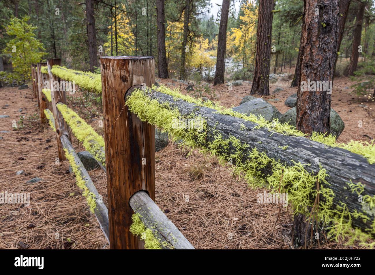 Moss fence hi-res stock photography and images - Alamy