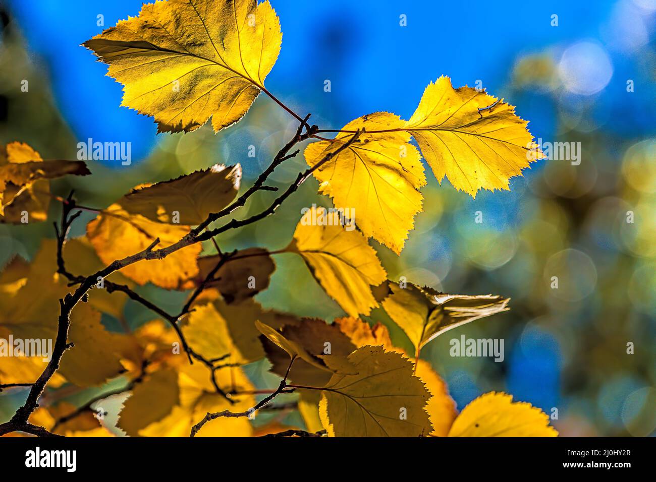 Spokane washington autumn hi-res stock photography and images - Alamy