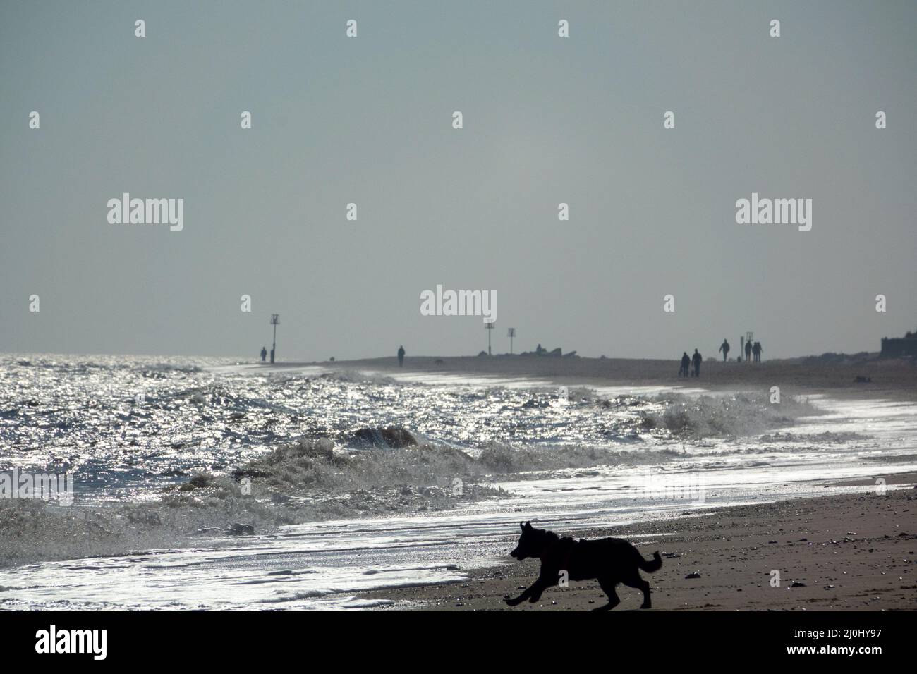 California norfolk uk hi-res stock photography and images - Alamy