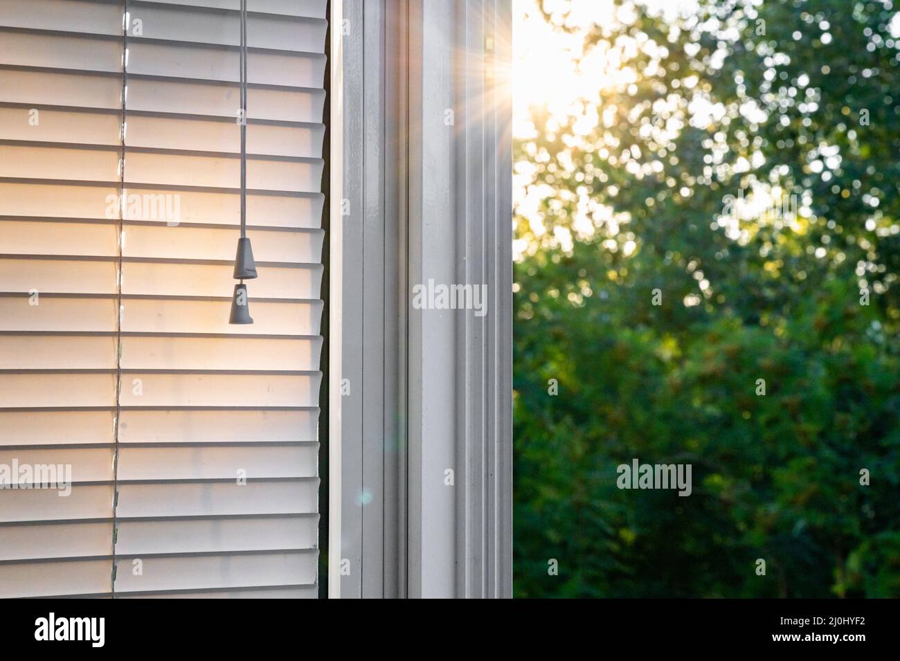 Window blinds rays of the sun Stock Photo - Alamy