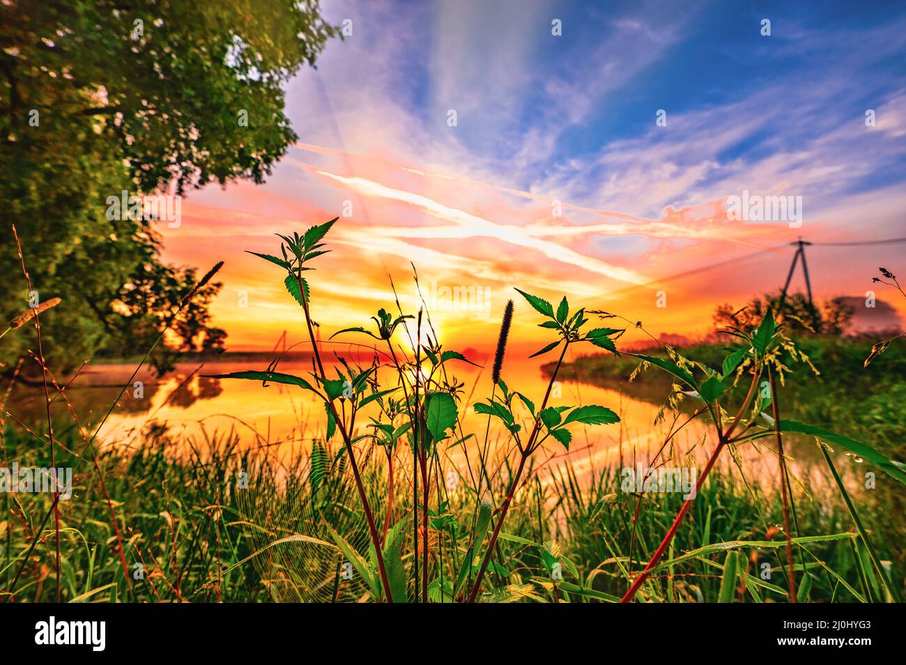 Pond grass silhouette hi-res stock photography and images - Alamy