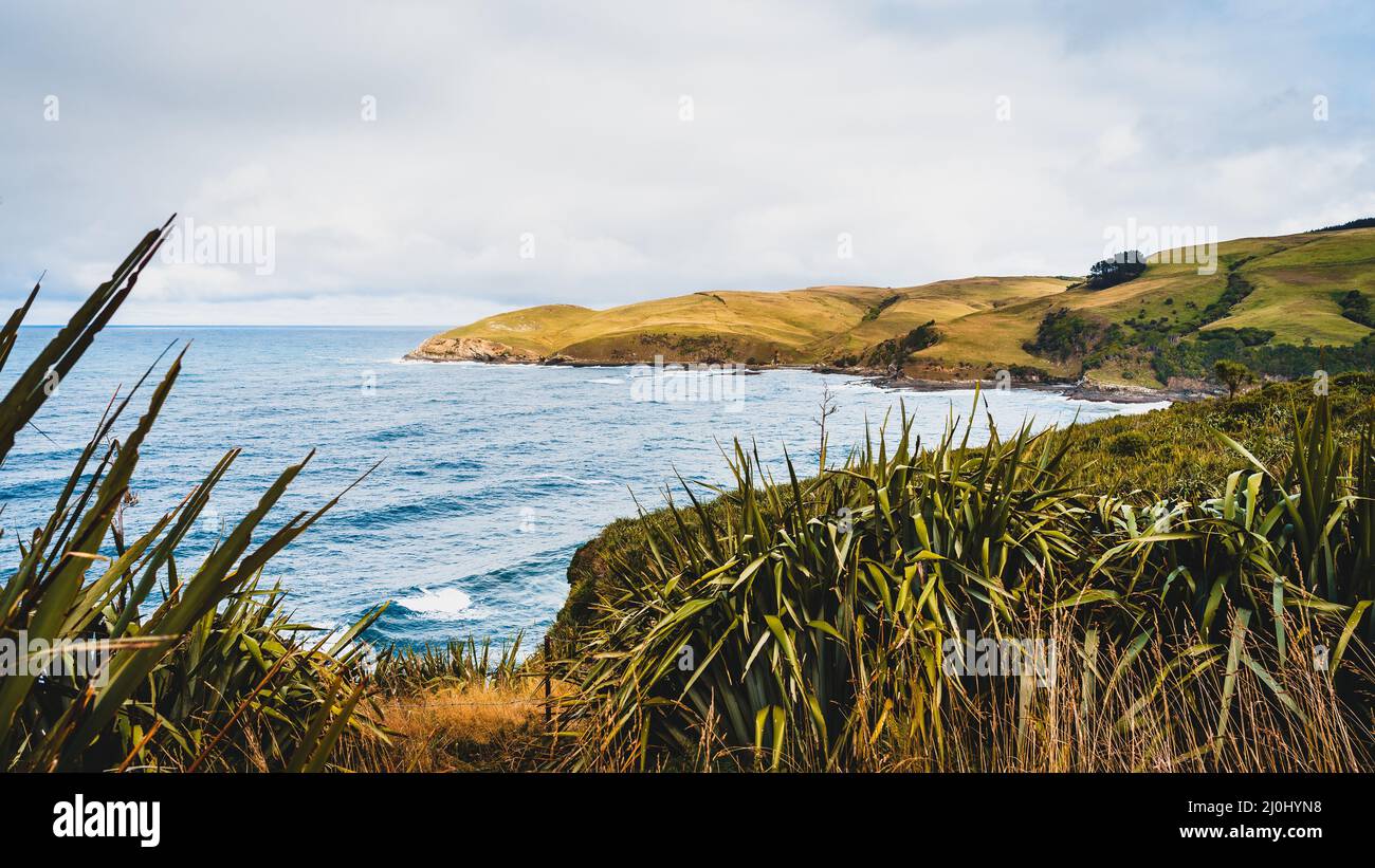 Beautiful landscape scene of large grasslands by blue sea and a cloudy ...