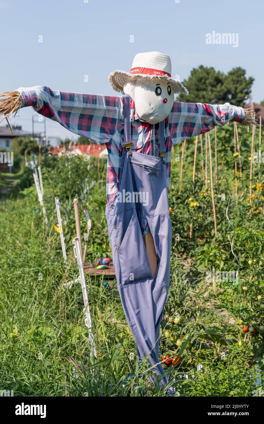 Colorful and creative scarecrow in the garden - decoration Stock Photo ...