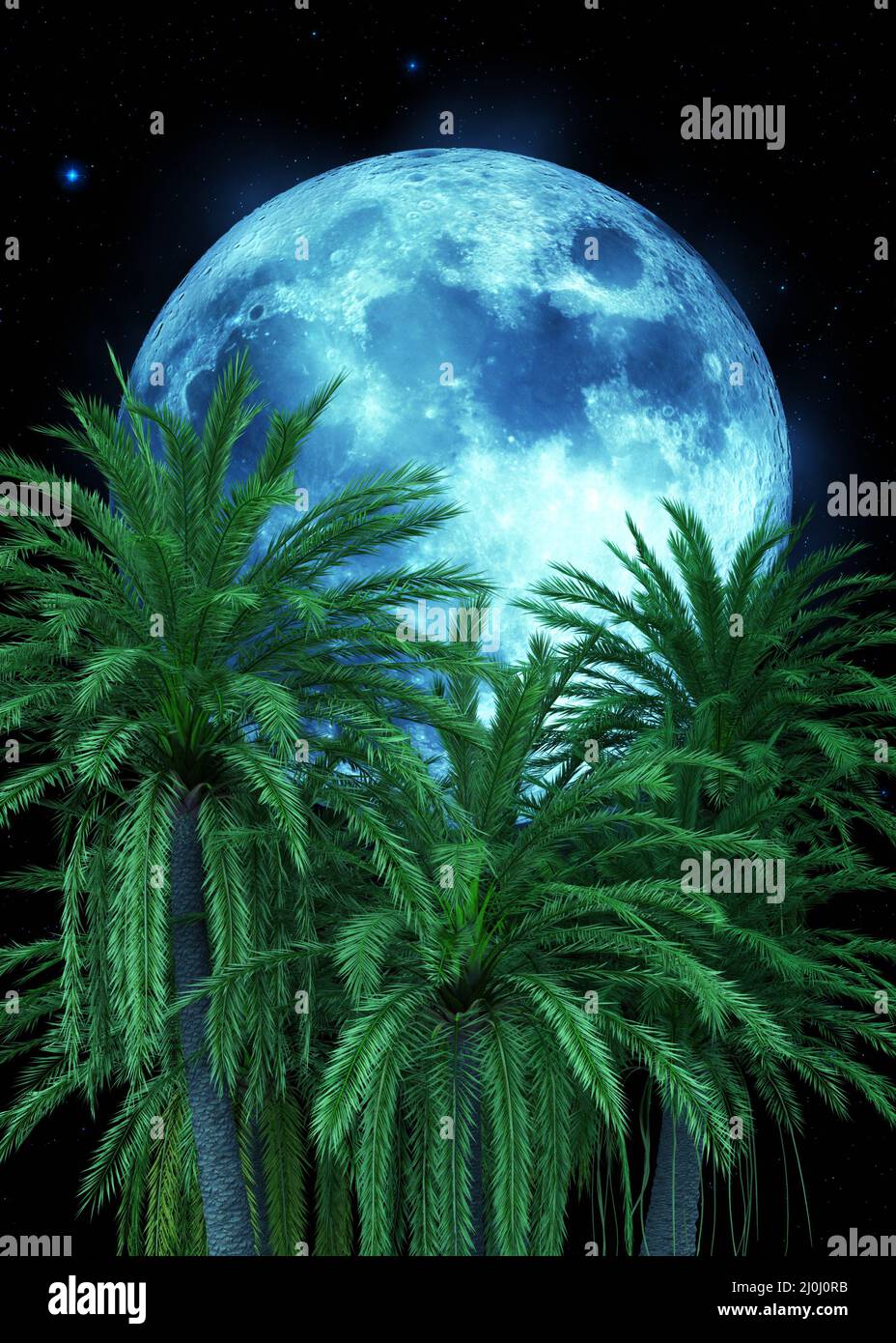 Fantasy palm trees and full moon, elements for this image furnished by ...