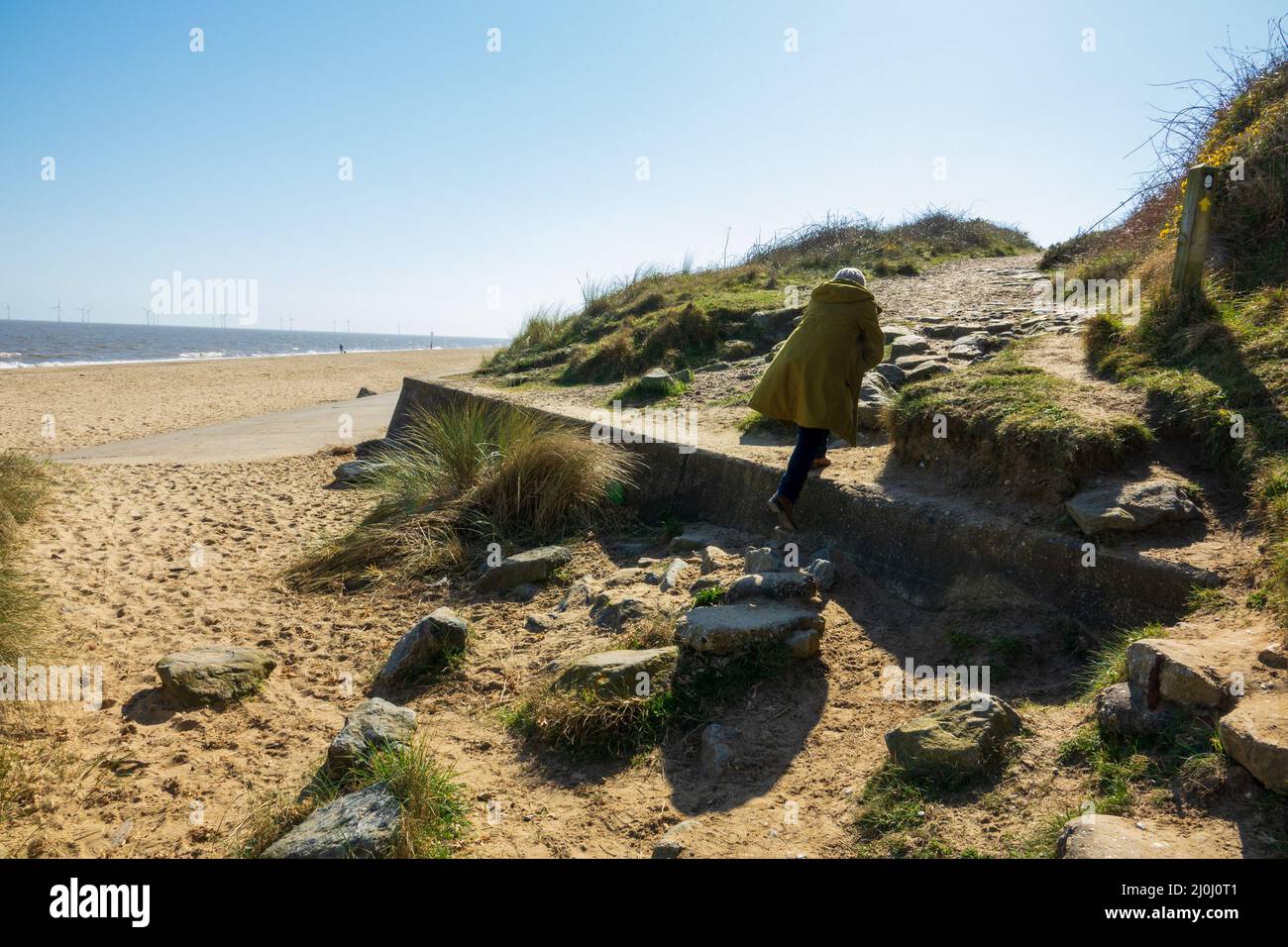 California norfolk hi-res stock photography and images - Alamy