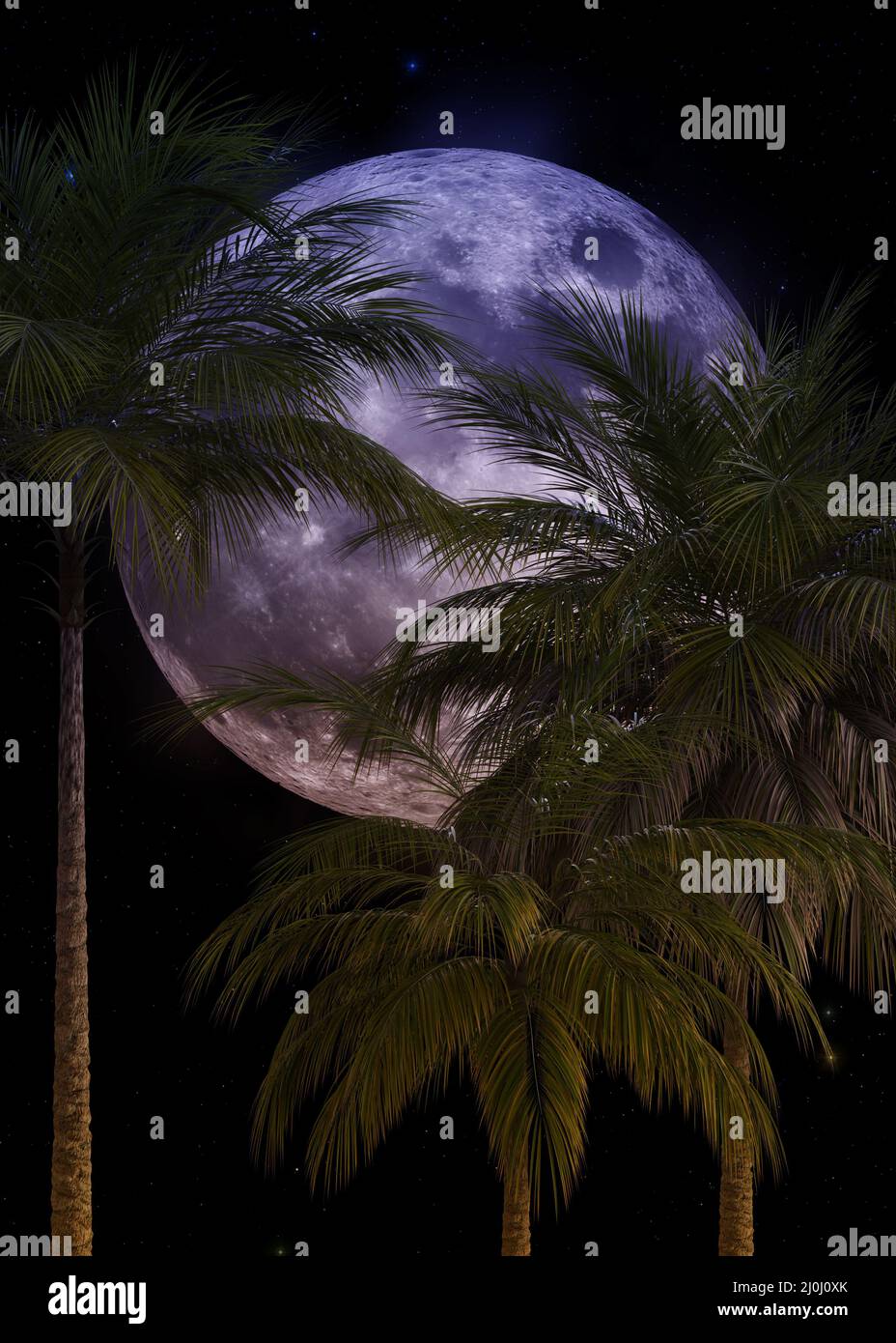 Fantasy palm trees and full moon, elements for this image furnished by ...