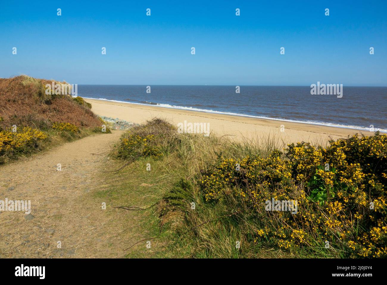 California Norfolk, UK Stock Photo - Alamy
