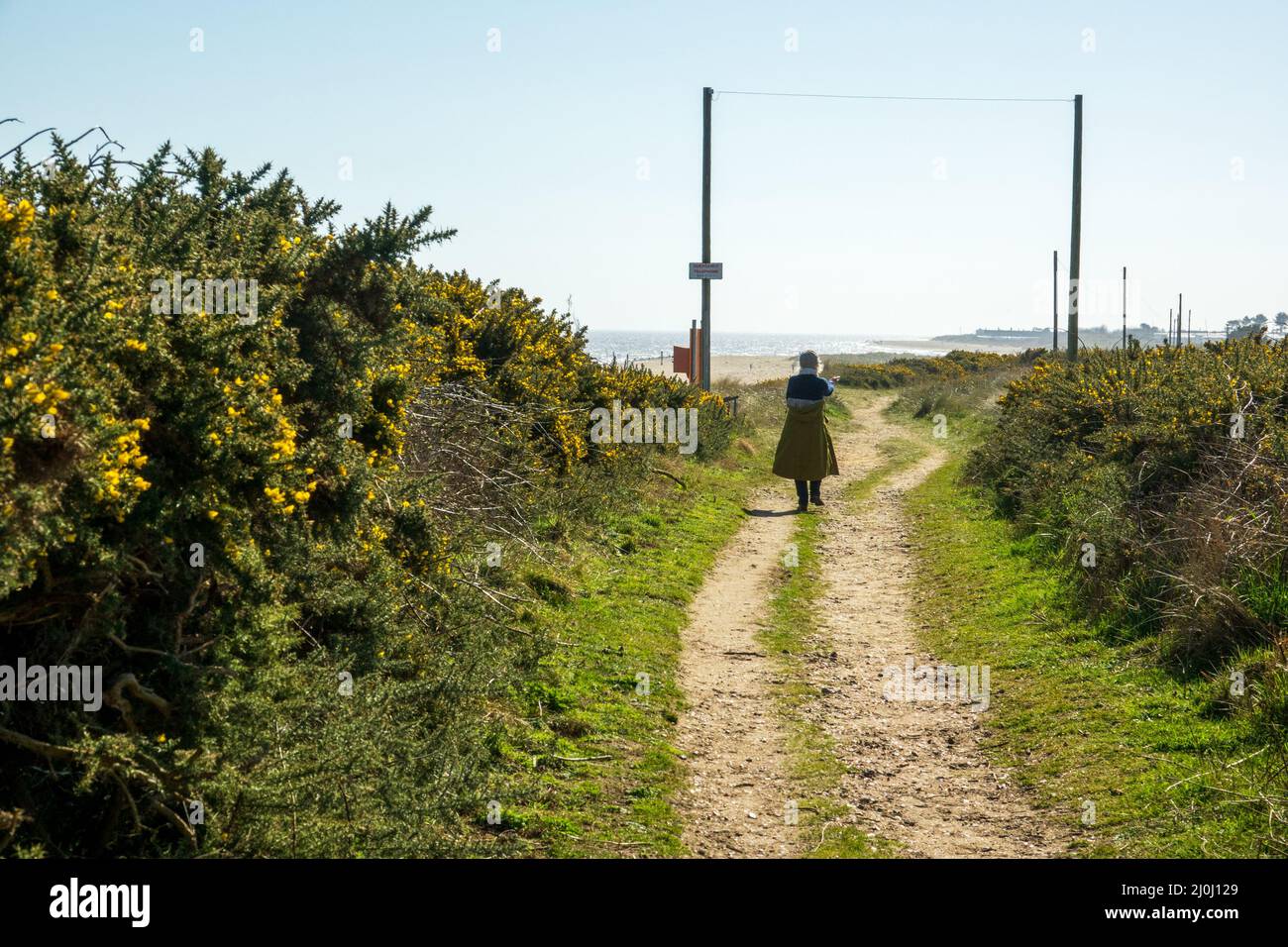 California norfolk uk hi-res stock photography and images - Alamy