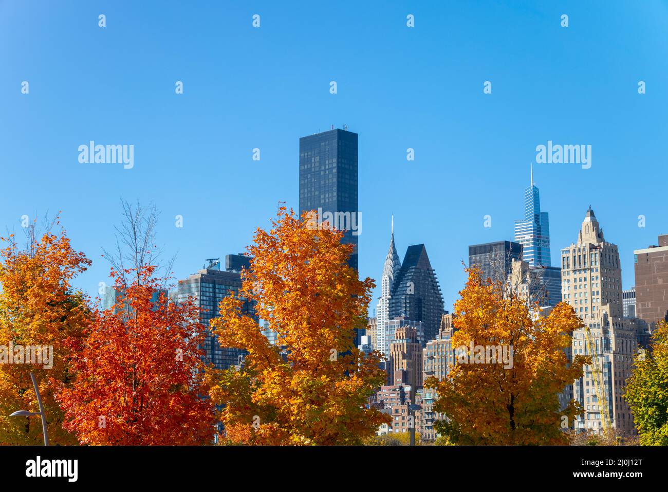 Autumn leaf color trees glow at City View Point in Southpoint Park ...