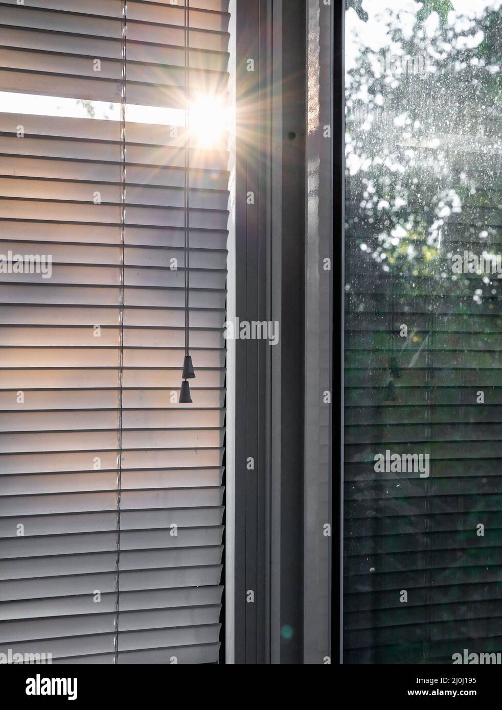 Window blinds rays of the sun Stock Photo - Alamy