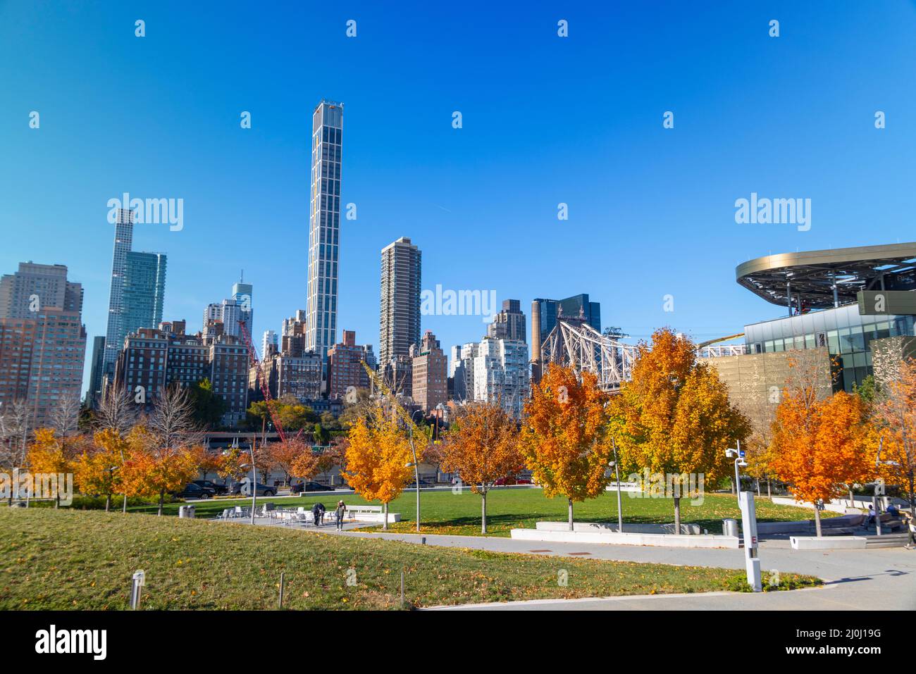 Autumn leaf color trees glow at City View Point in Southpoint Park ...