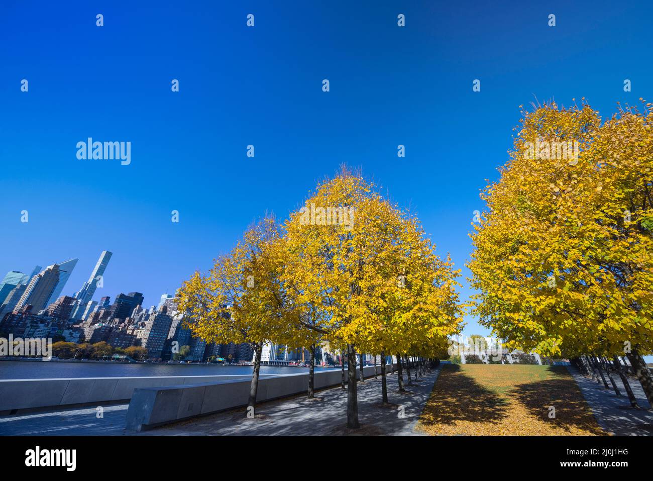 Autumn sunlight illuminates the rows of autumnal leaf color trees in ...