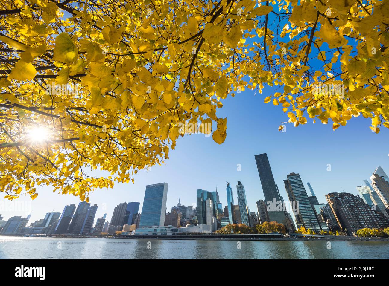 Autumn sunlight illuminates the rows of autumnal leaf color trees in ...