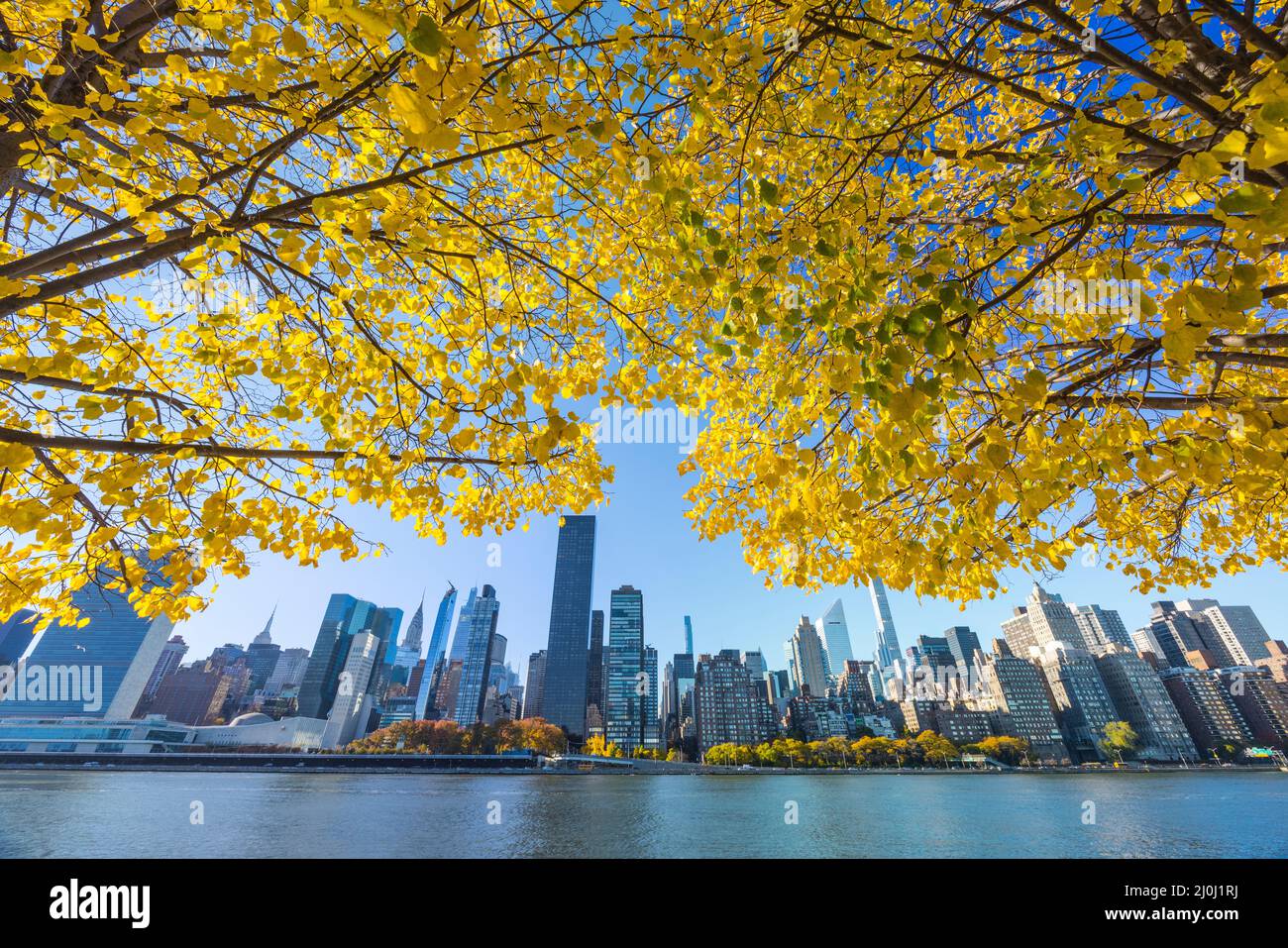 Autumn sunlight illuminates the rows of autumnal leaf color trees in ...