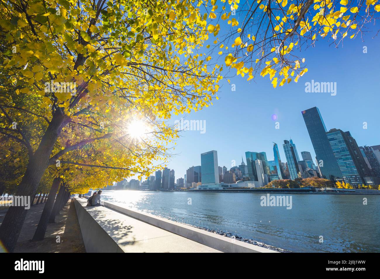 Autumn sunlight illuminates the rows of autumnal leaf color trees in ...