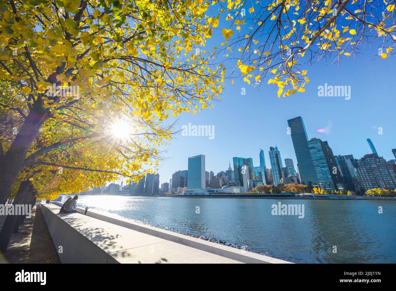 Autumn sunlight illuminates the rows of autumnal leaf color trees in ...