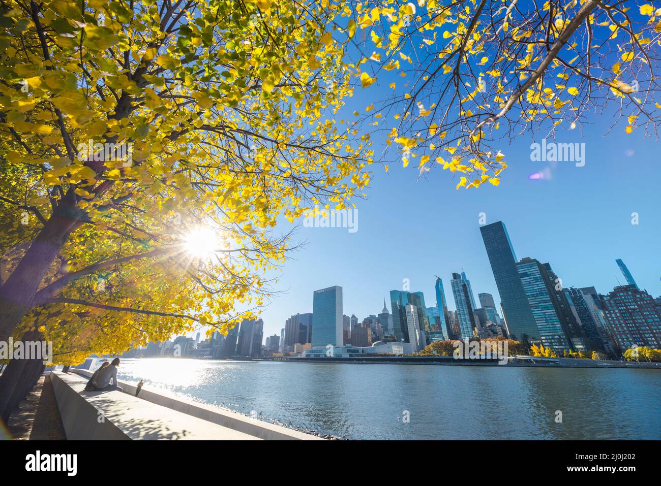 Autumn sunlight illuminates the rows of autumnal leaf color trees in ...