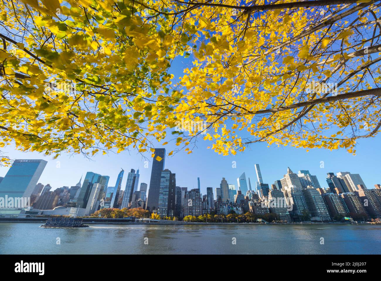 Autumn sunlight illuminates the rows of autumnal leaf color trees in ...