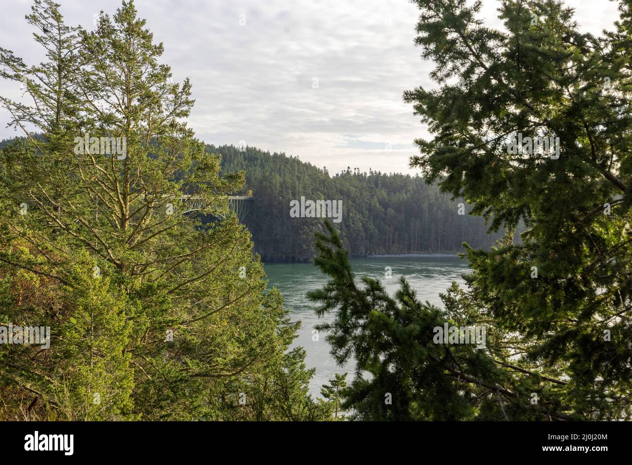 ocean inlet through forest cliffs with clouds above Stock Photo - Alamy