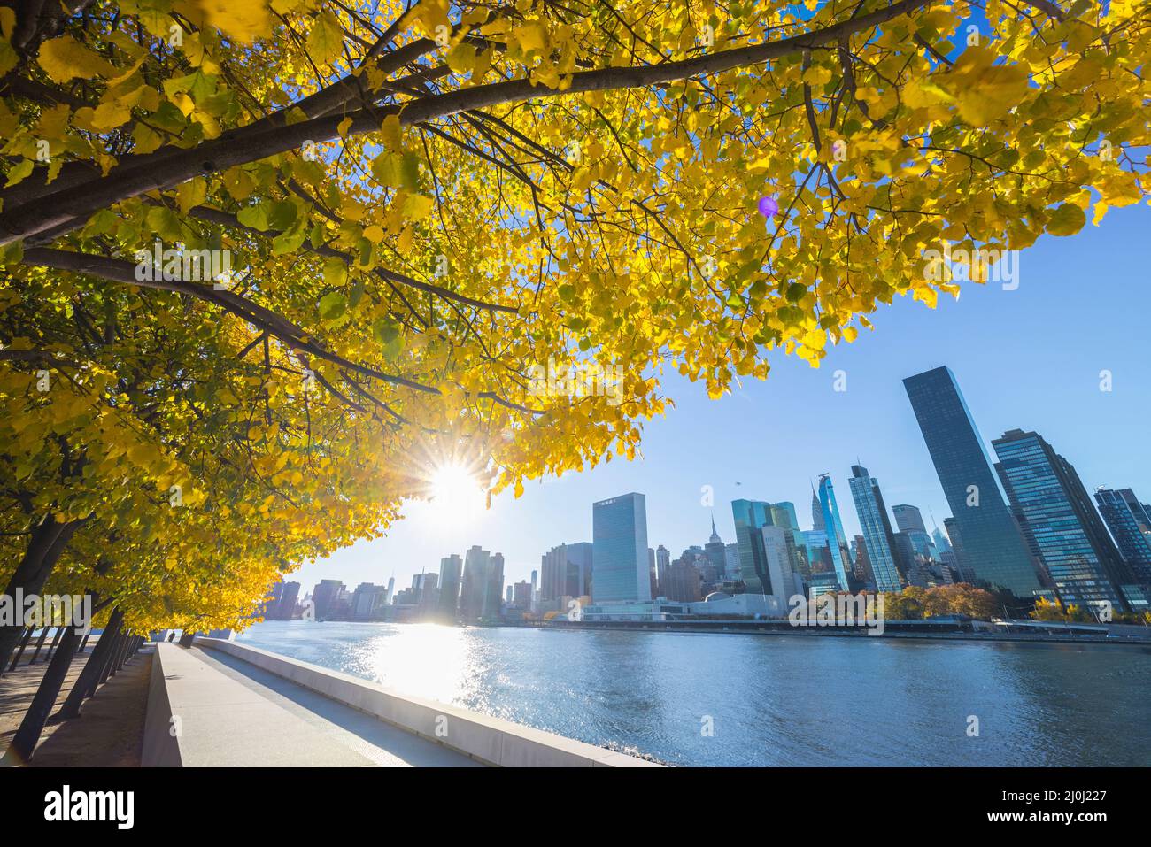 Autumn sunlight illuminates the rows of autumnal leaf color trees in ...