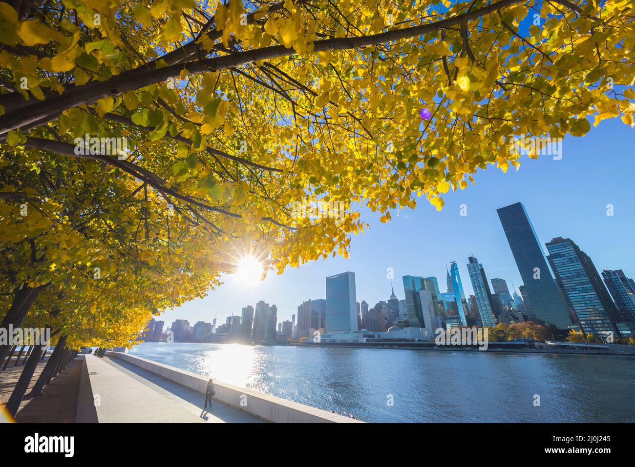 Autumn sunlight illuminates the rows of autumnal leaf color trees in ...