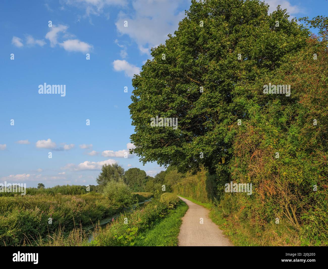 River aa in germany Stock Photo - Alamy