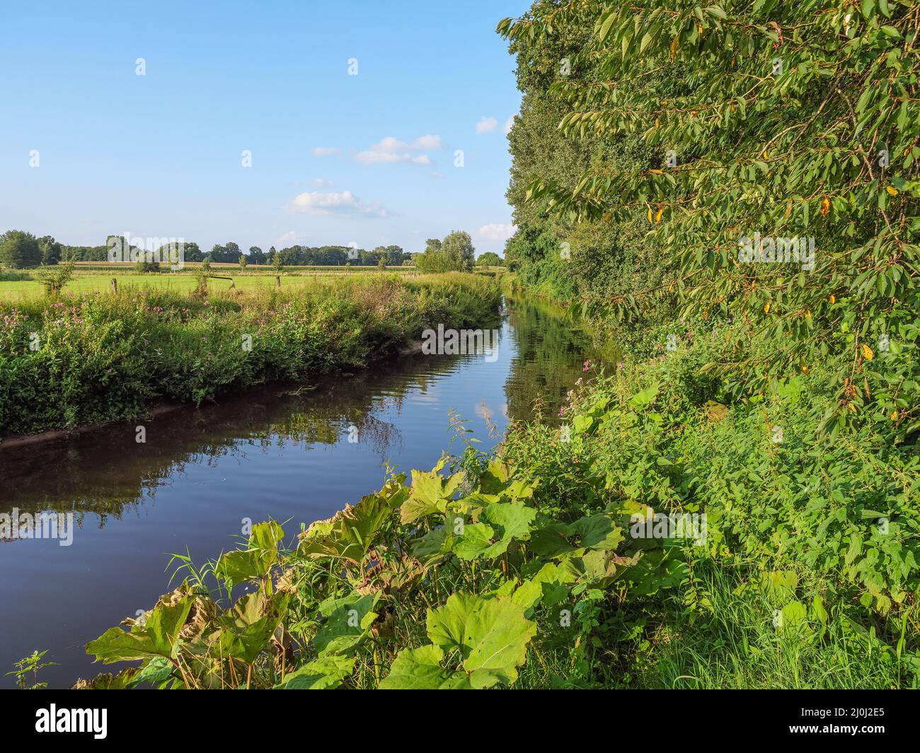 River aa in germany Stock Photo - Alamy