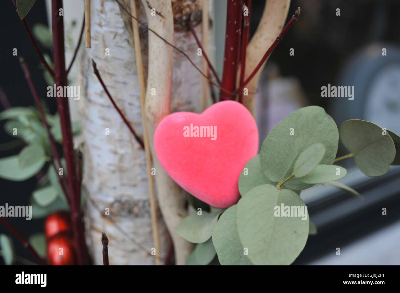 Red heart shaped decoration near the plants Stock Photo - Alamy