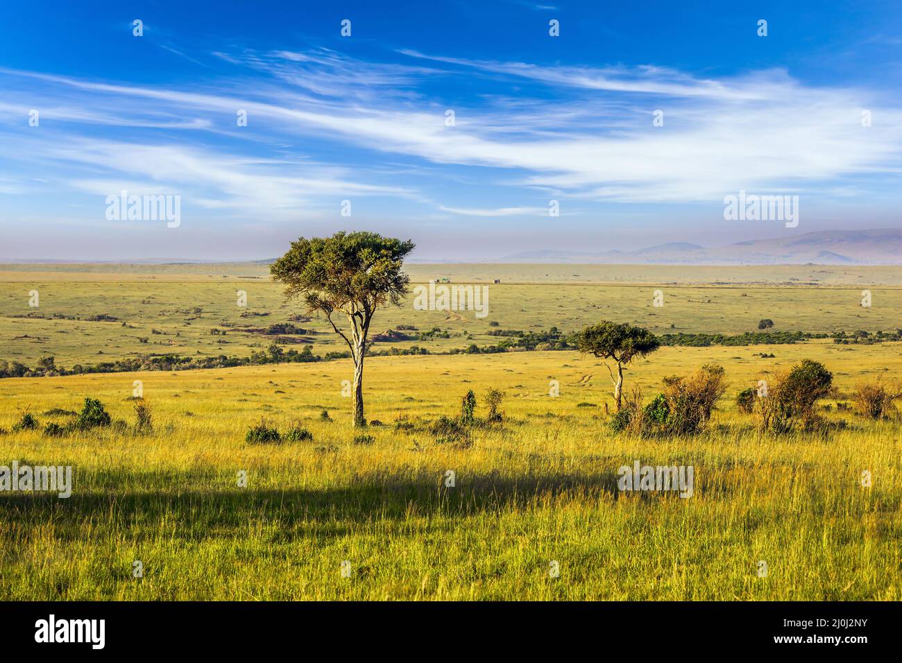 Stormy windy day but sunny hi-res stock photography and images - Alamy