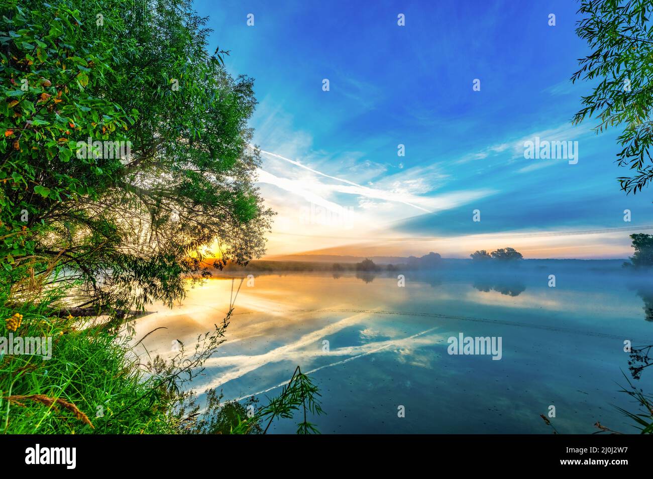 Pond grass silhouette hi-res stock photography and images - Alamy