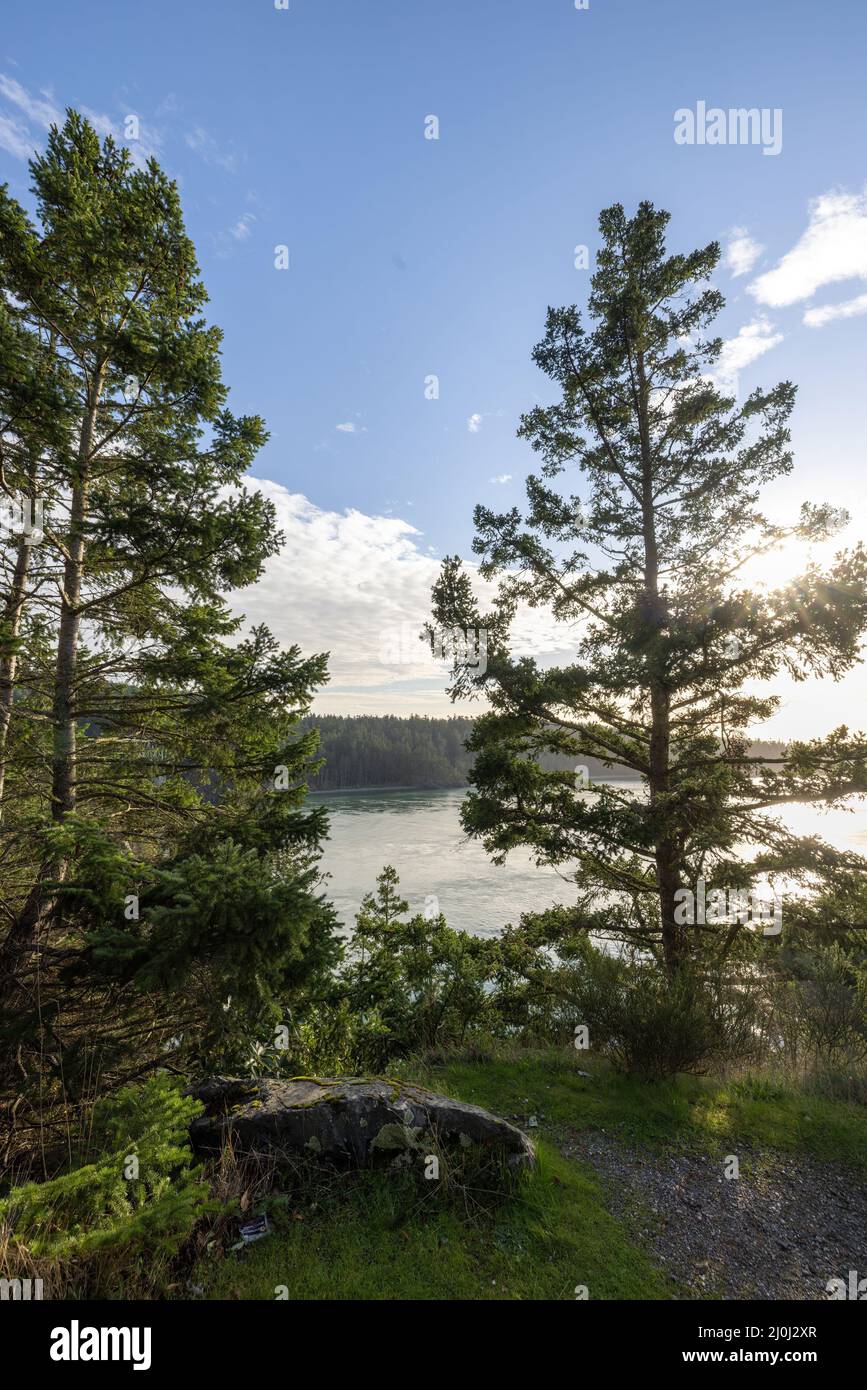 gravel path through trees over ocean inlet Stock Photo - Alamy
