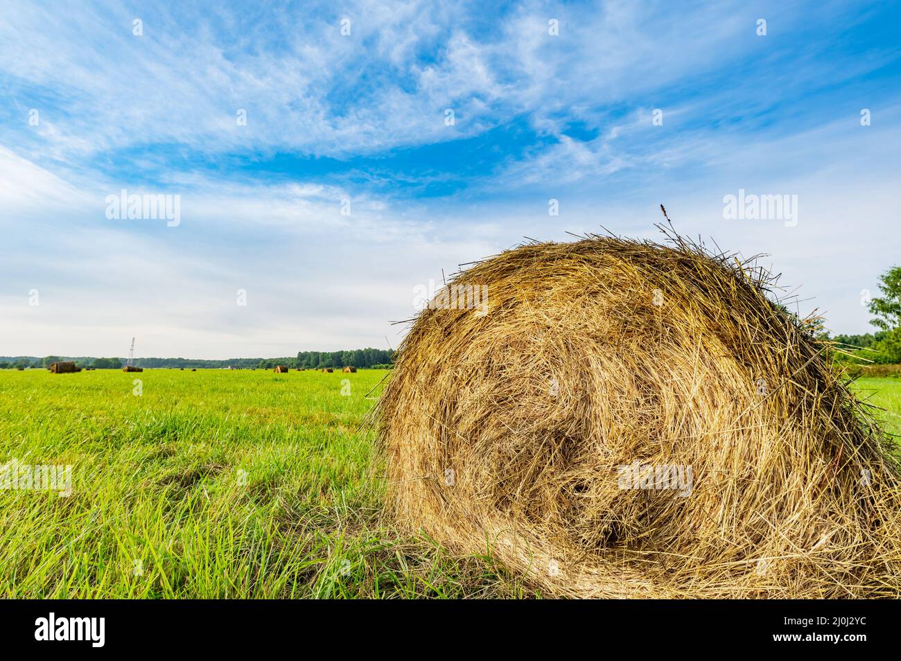 Mown hay field hi-res stock photography and images - Alamy