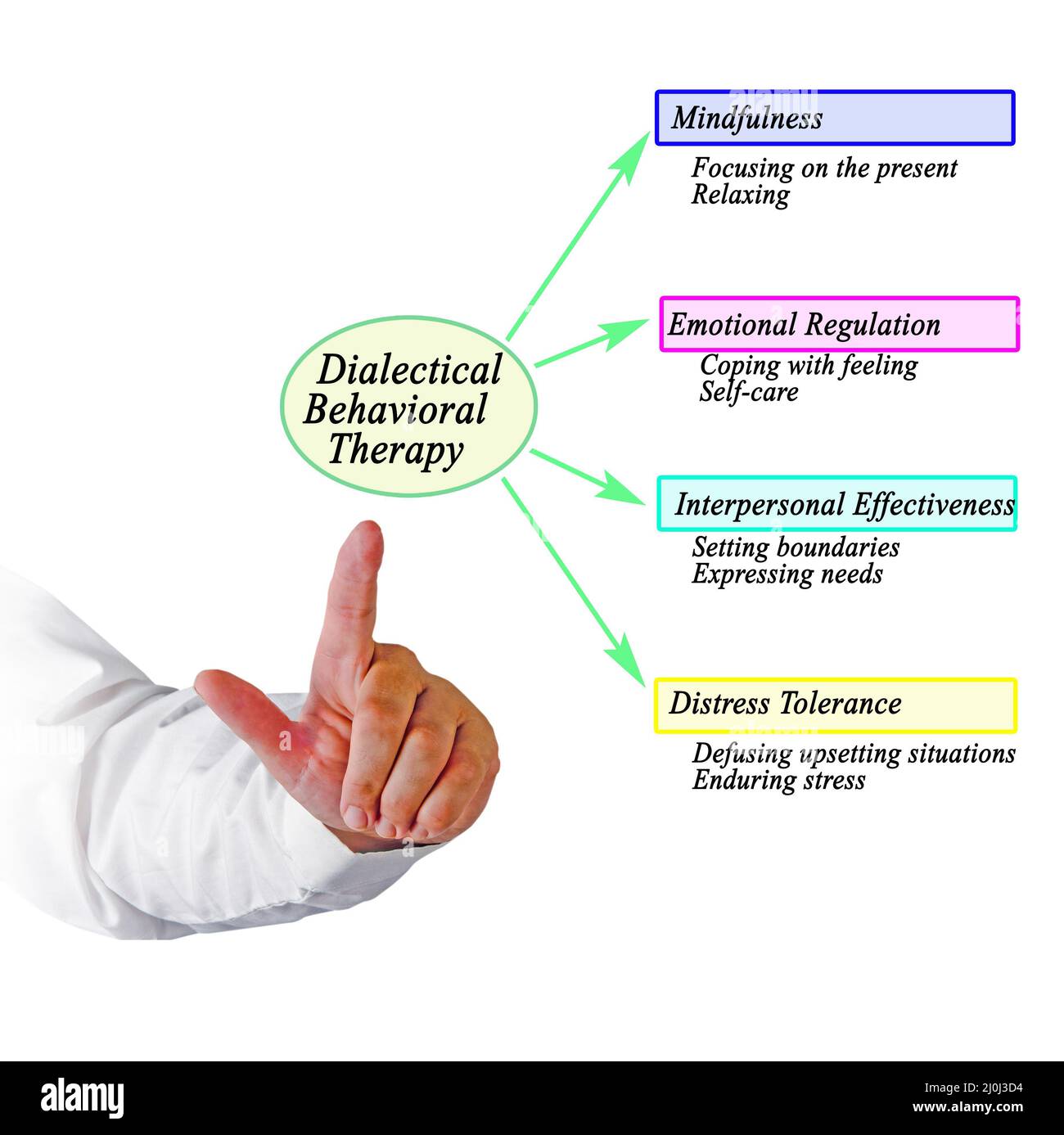 Components of Dialectical Behavioral Therapy Stock Photo - Alamy