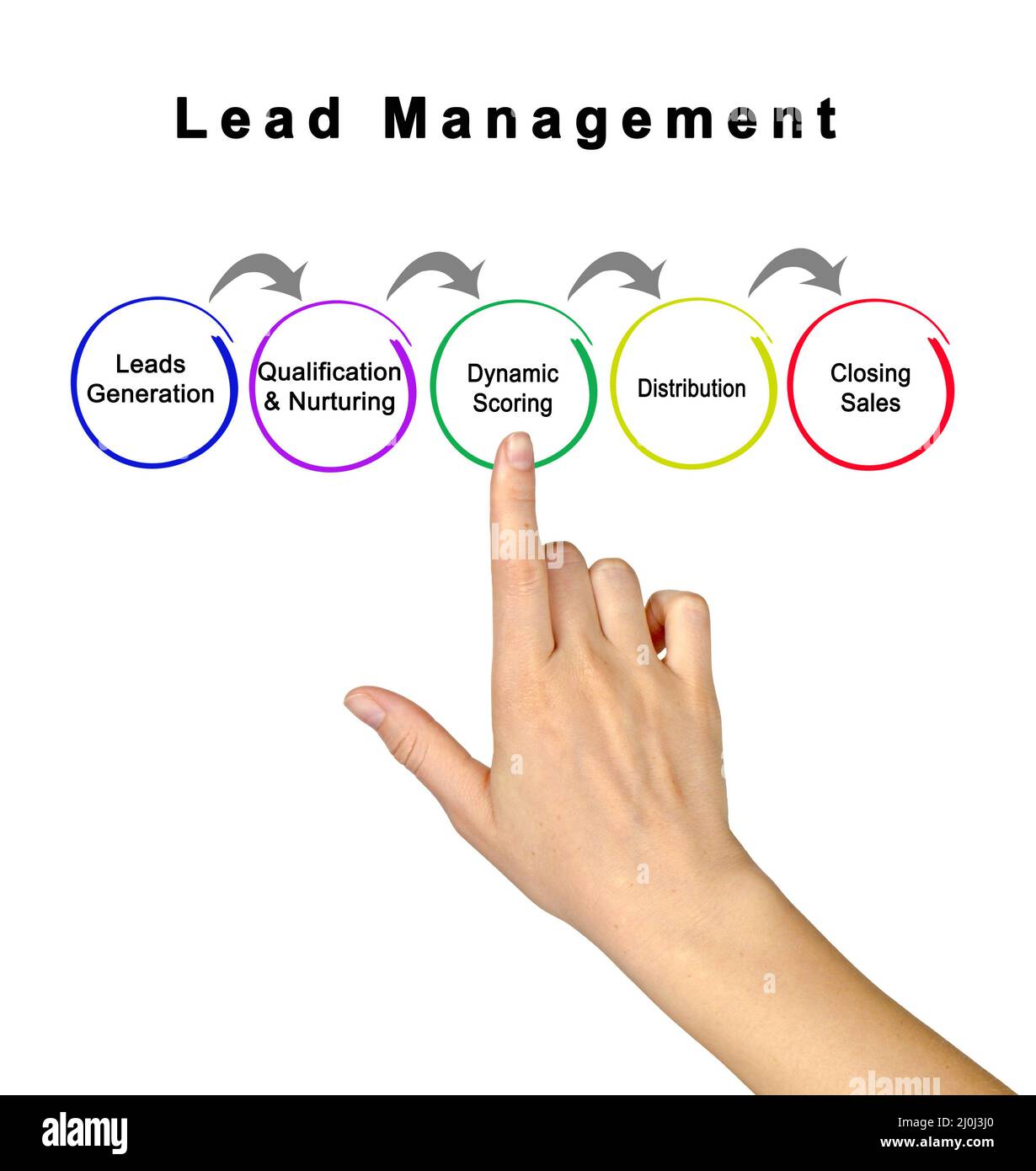 Five Components of Lead Management Stock Photo - Alamy