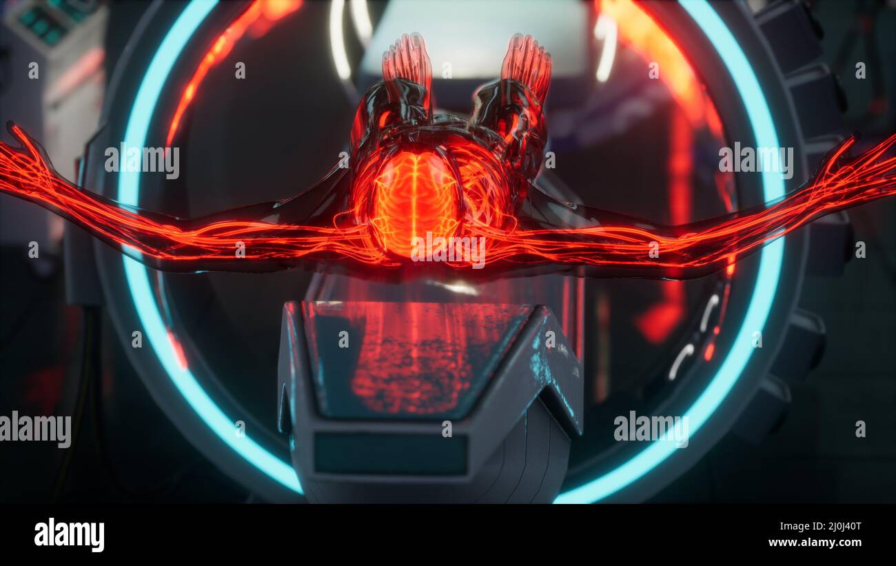 Science anatomy scan of human Blood Vessels Stock Photo - Alamy