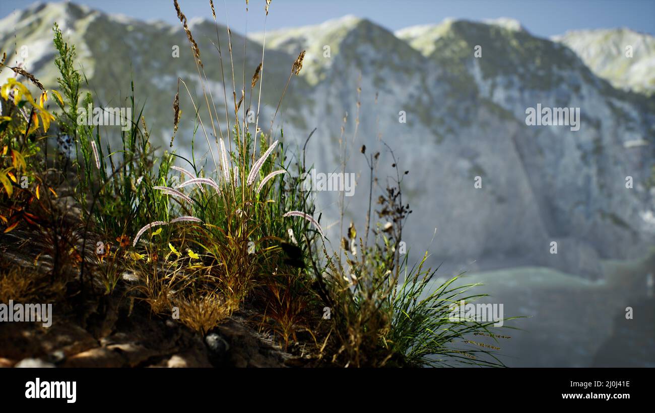 Fresh grass at big rocky cliff in ocean Stock Photo - Alamy