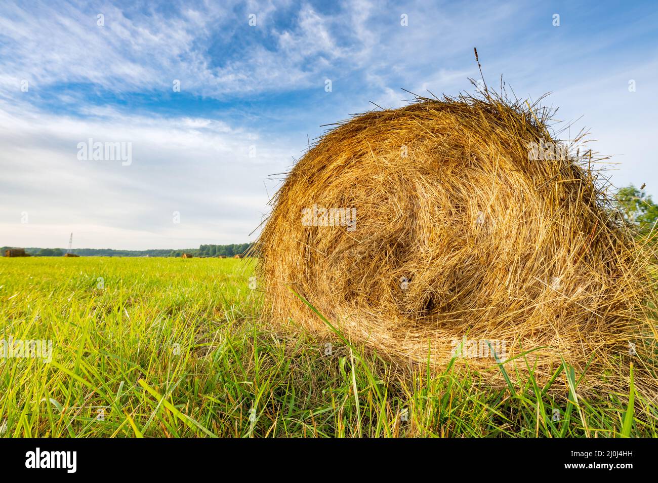 Grain field dusk in background hi-res stock photography and images - Alamy