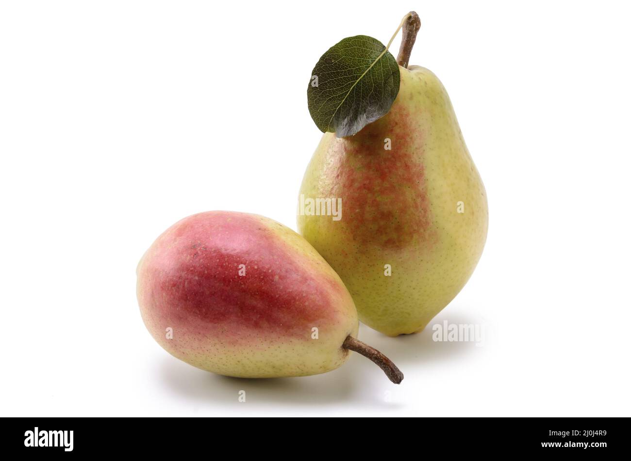 Ripe pear fruits hi-res stock photography and images - Alamy