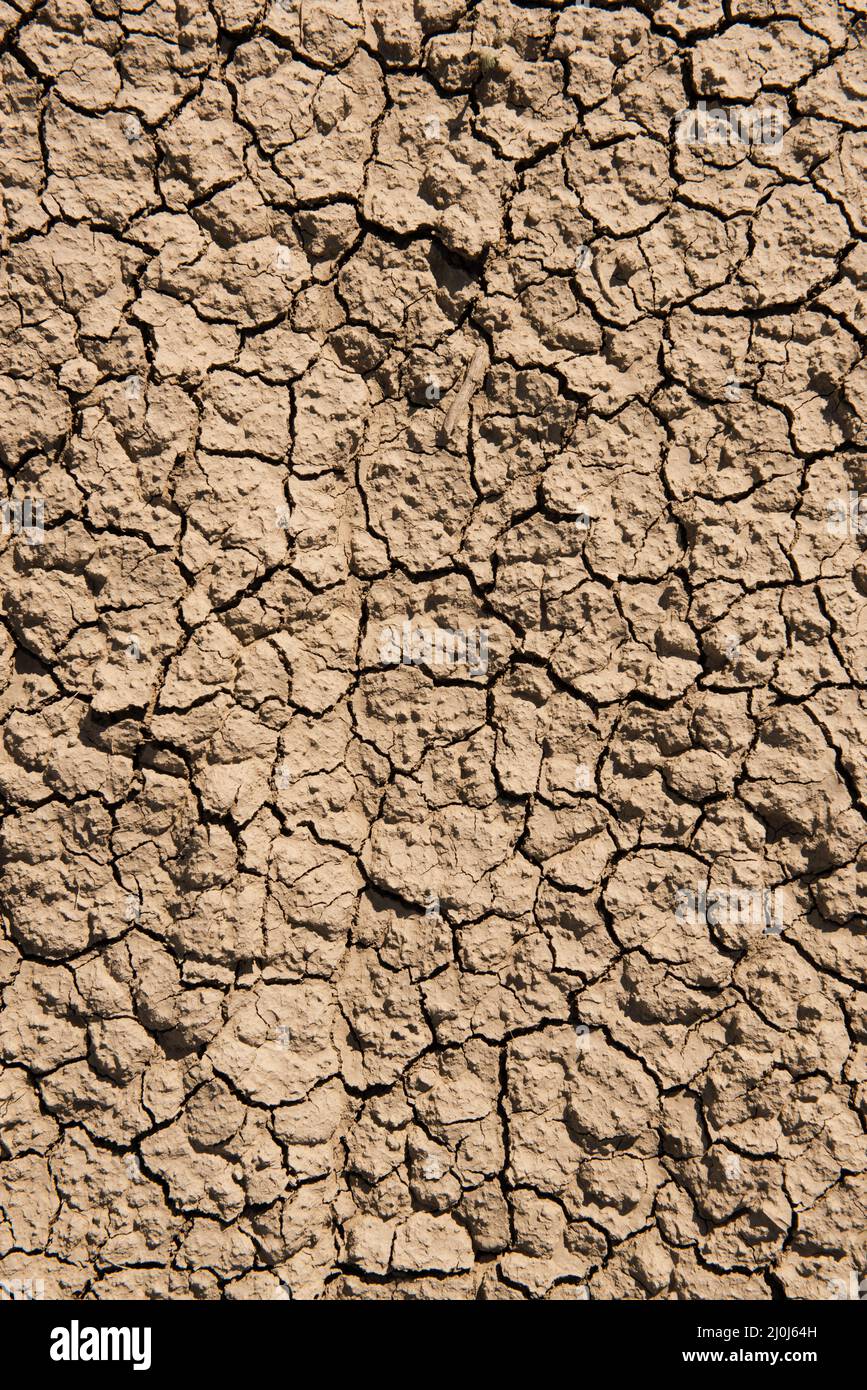 Drought, cracked earth background Stock Photo - Alamy