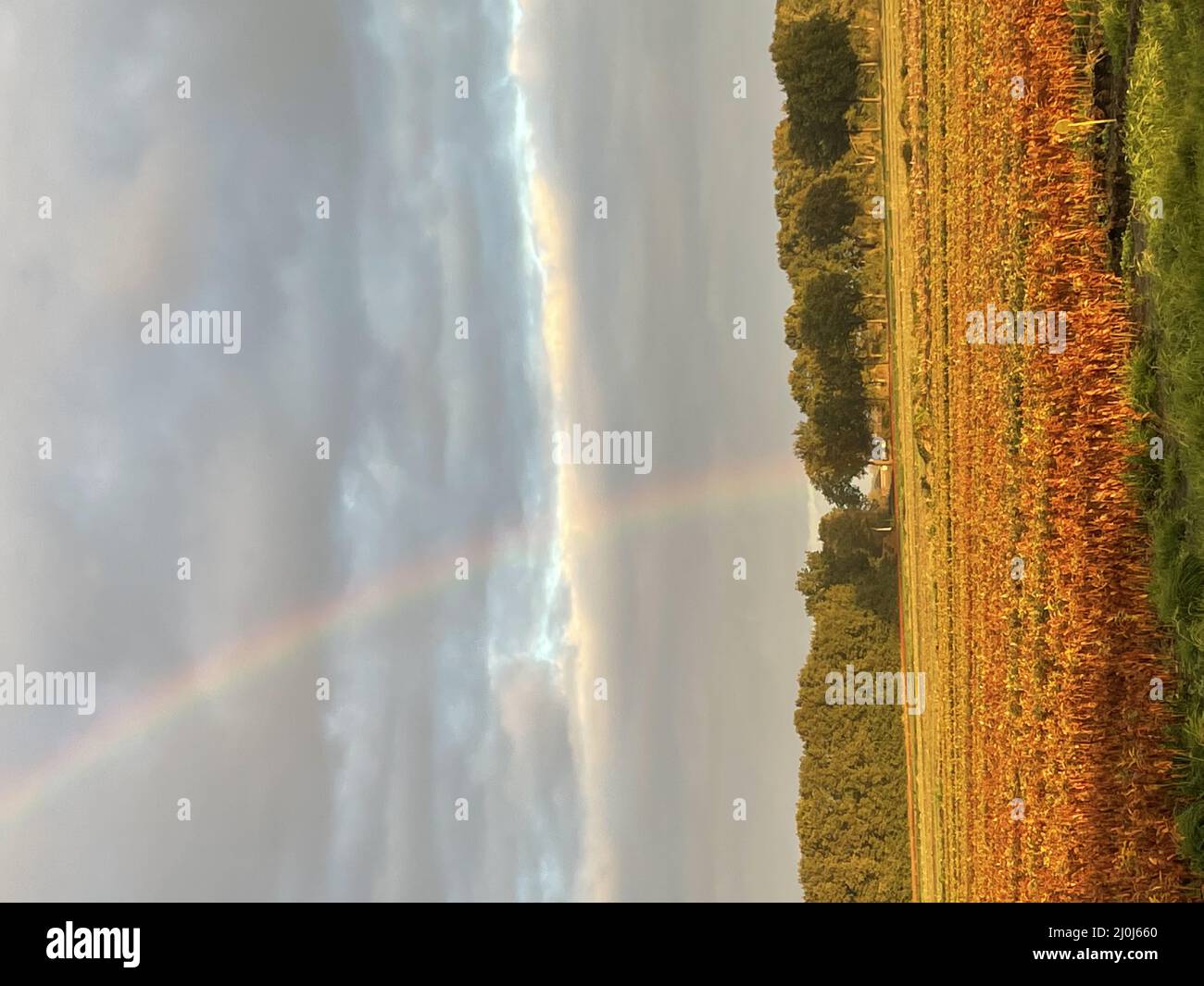 Rainbow over the farm lands Stock Photo - Alamy