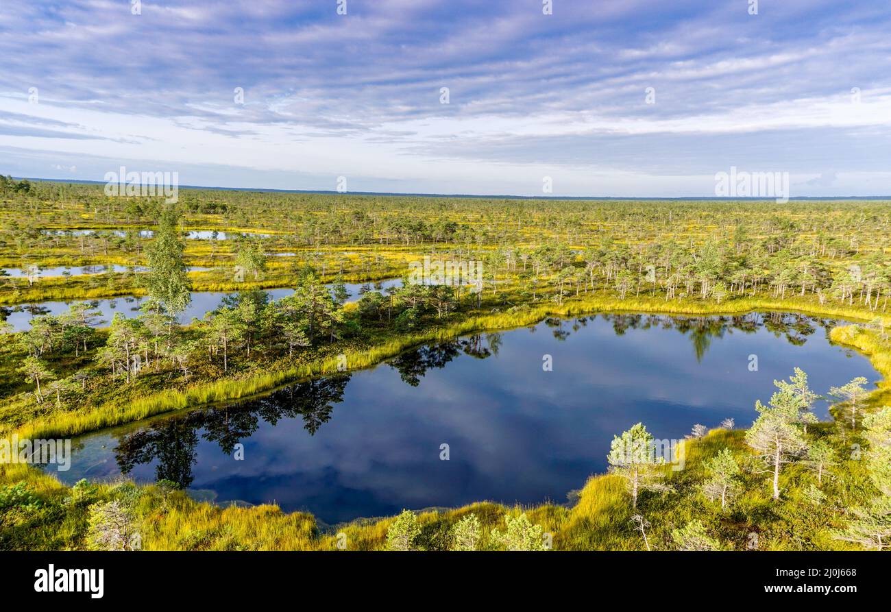 High angle view of lakes and lagoons in a raised bog and marsh ...