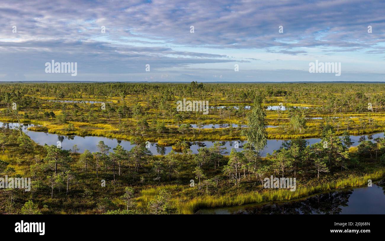 High angle view of lakes and lagoons in a raised bog and marsh ...